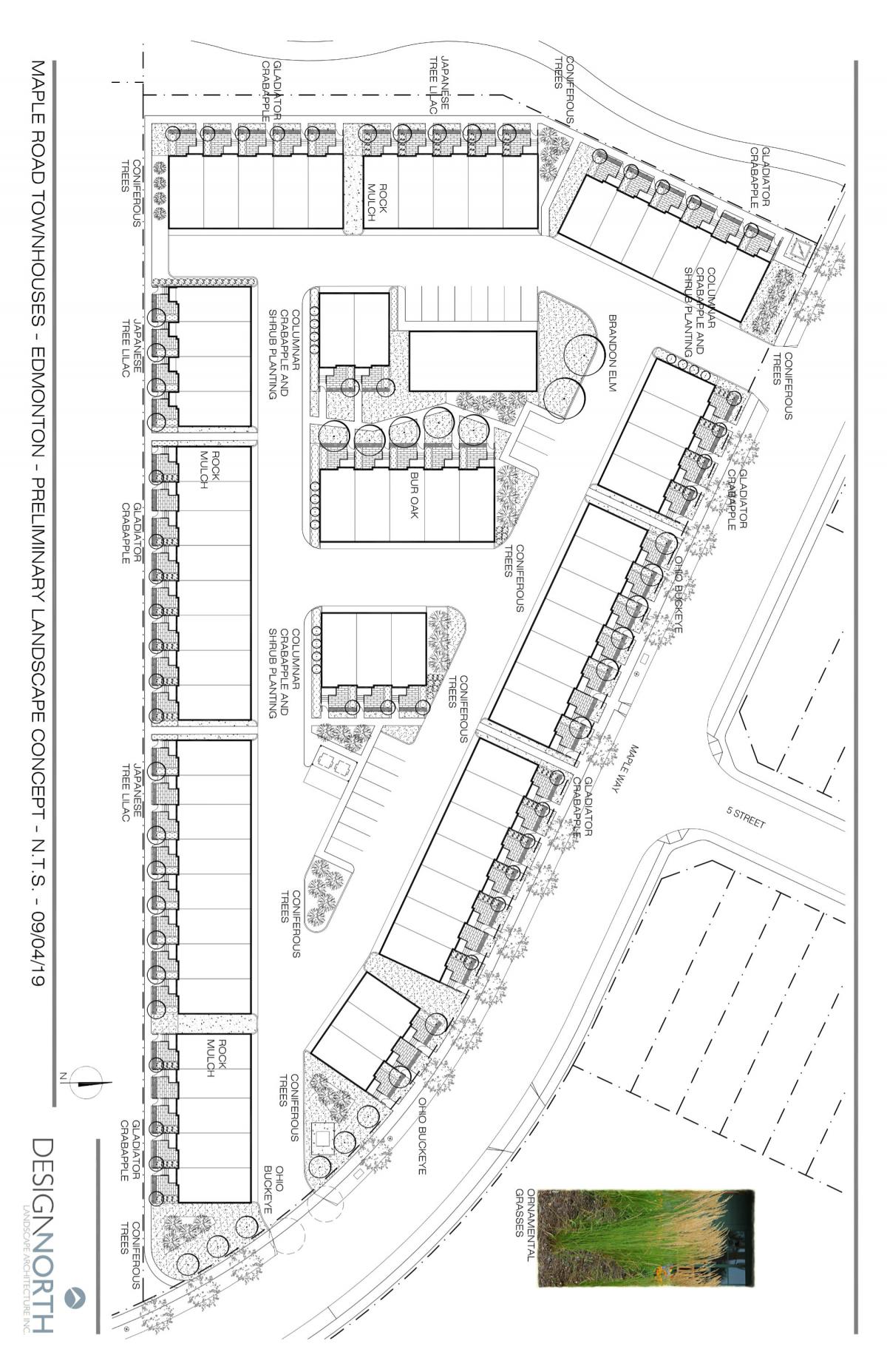 Breeze on Maple Way - Avid Homes